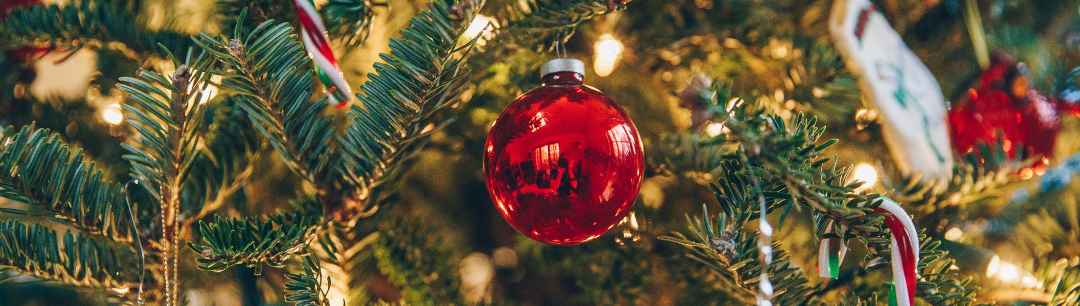 Buy Christmas Gifts Online at Bonkers UK